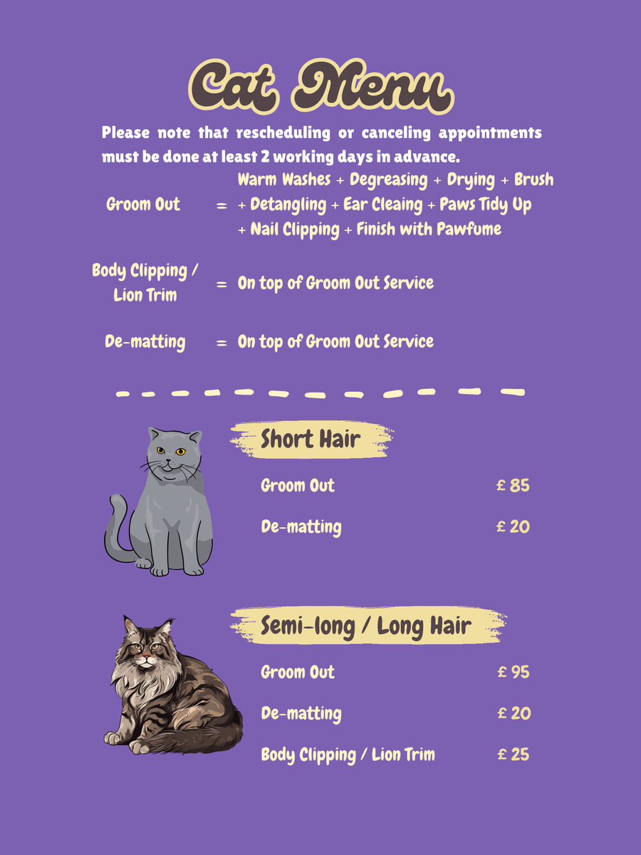Cat Grooming | SW11 7AY – Furmily